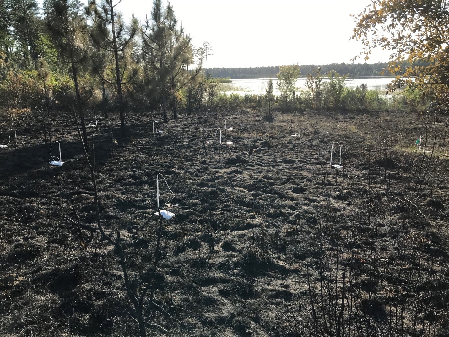 Burning questions: The mysteries of pyrogenic carbon and the effects of ...