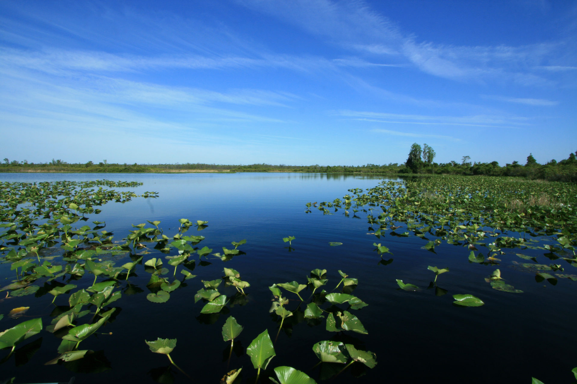 River Basins of Georgia - The River Basin Center