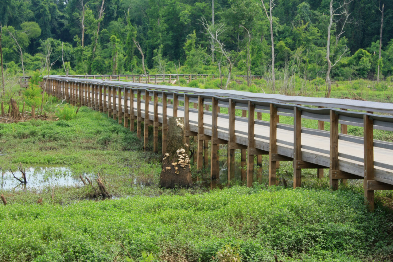 Ocmulgee - The River Basin Center
