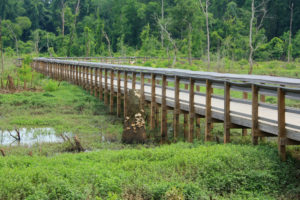 Ocmulgee - The River Basin Center