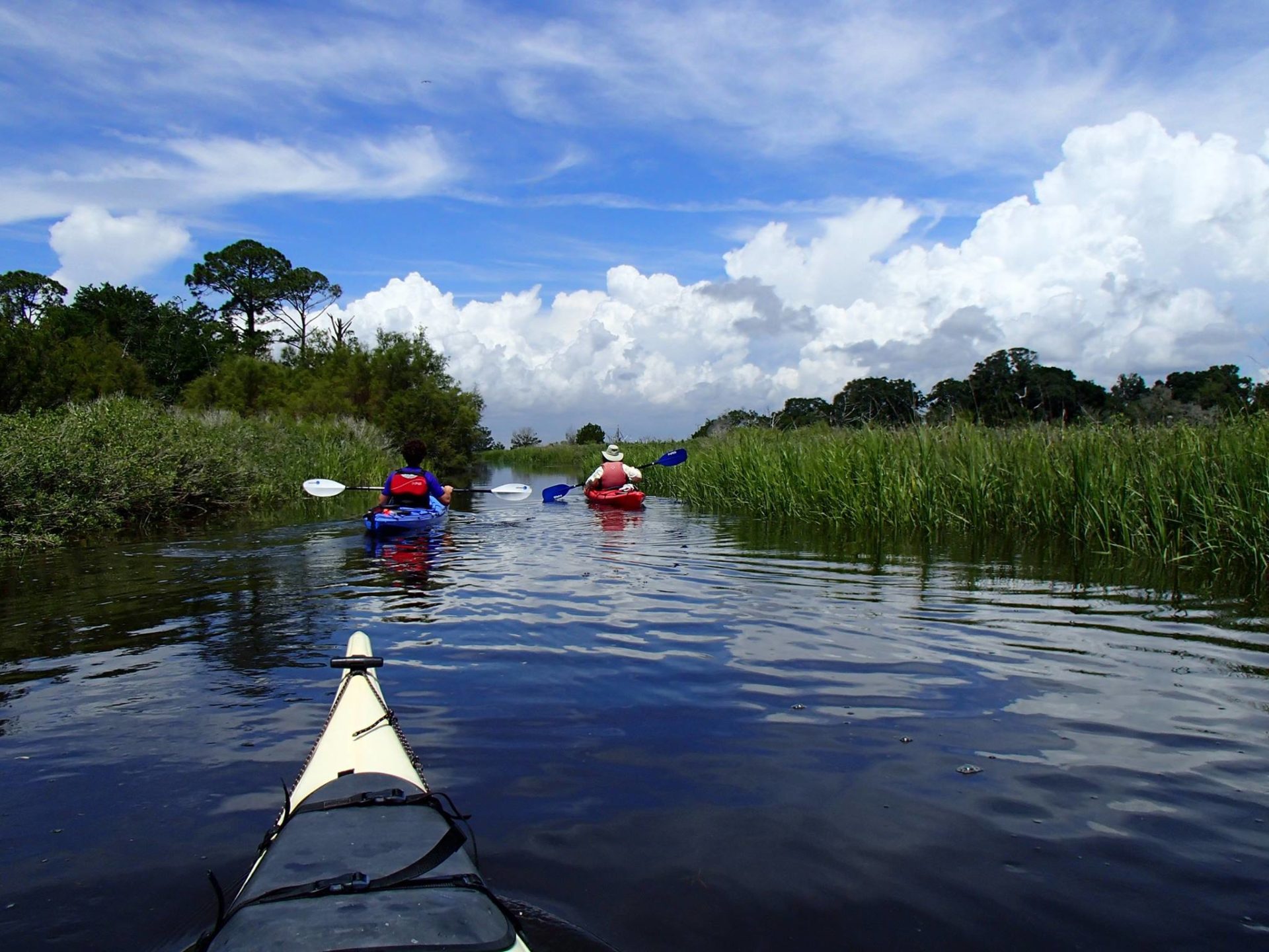 Satilla - The River Basin Center