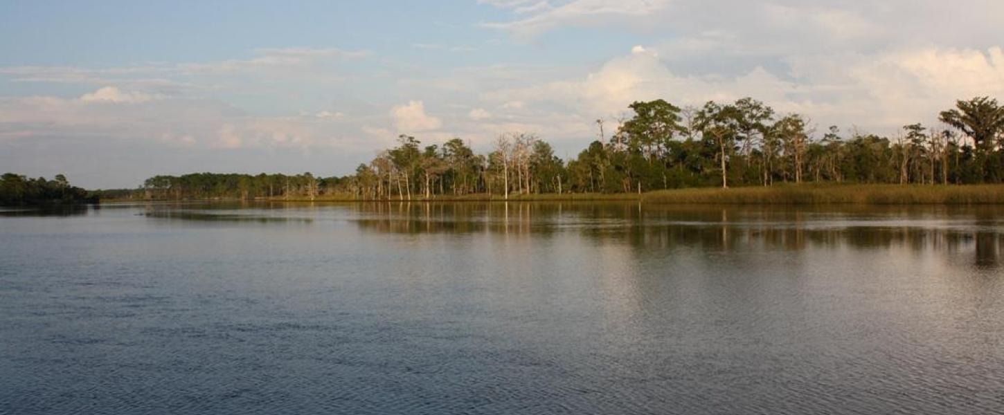 Ochlockonee - The River Basin Center