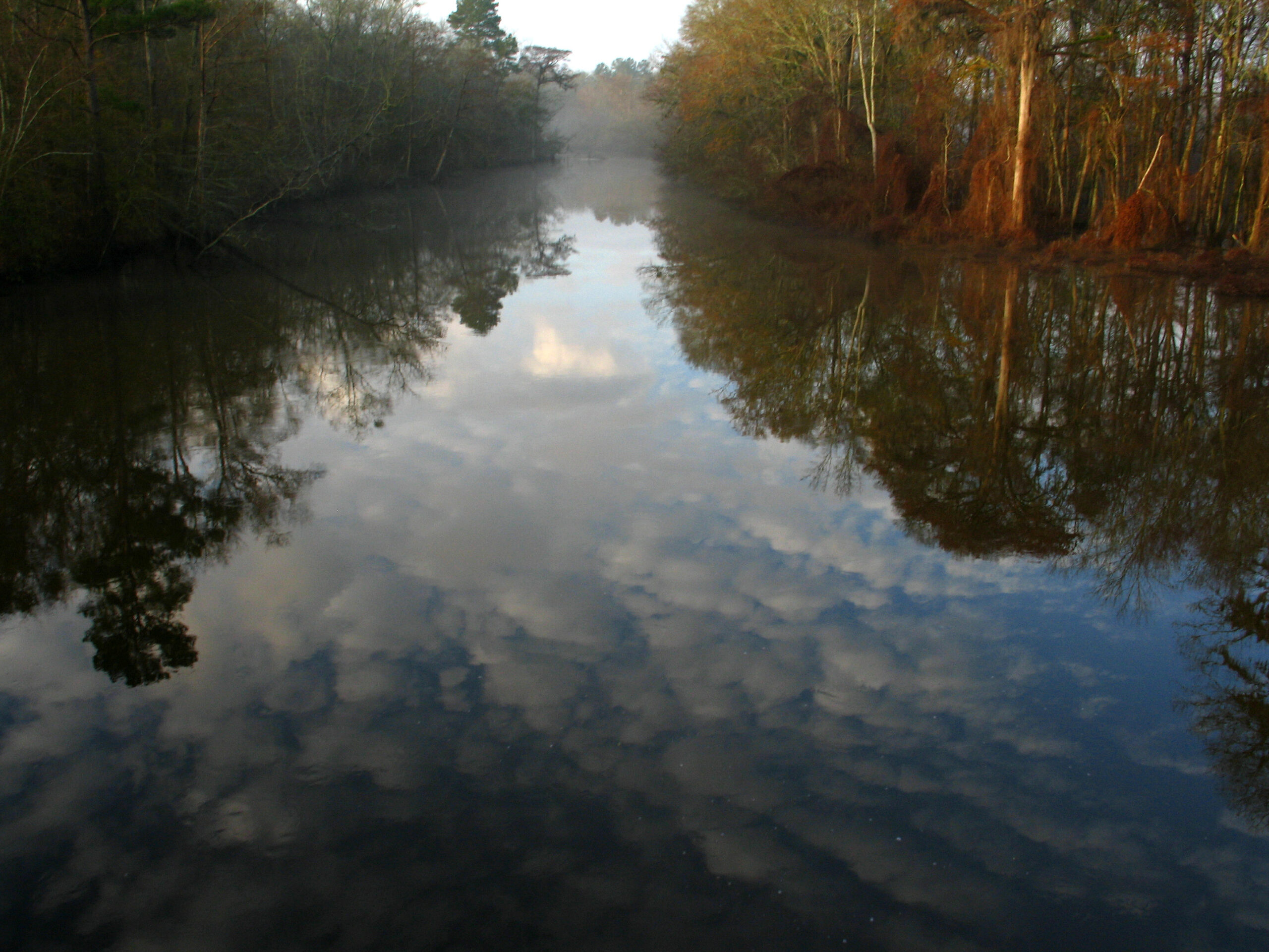 Ogeechee - The River Basin Center