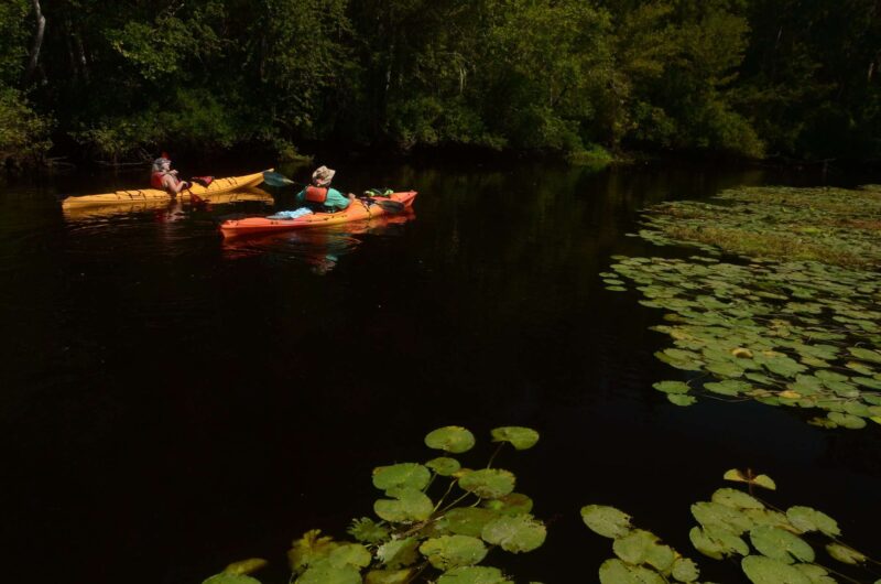 Satilla - The River Basin Center