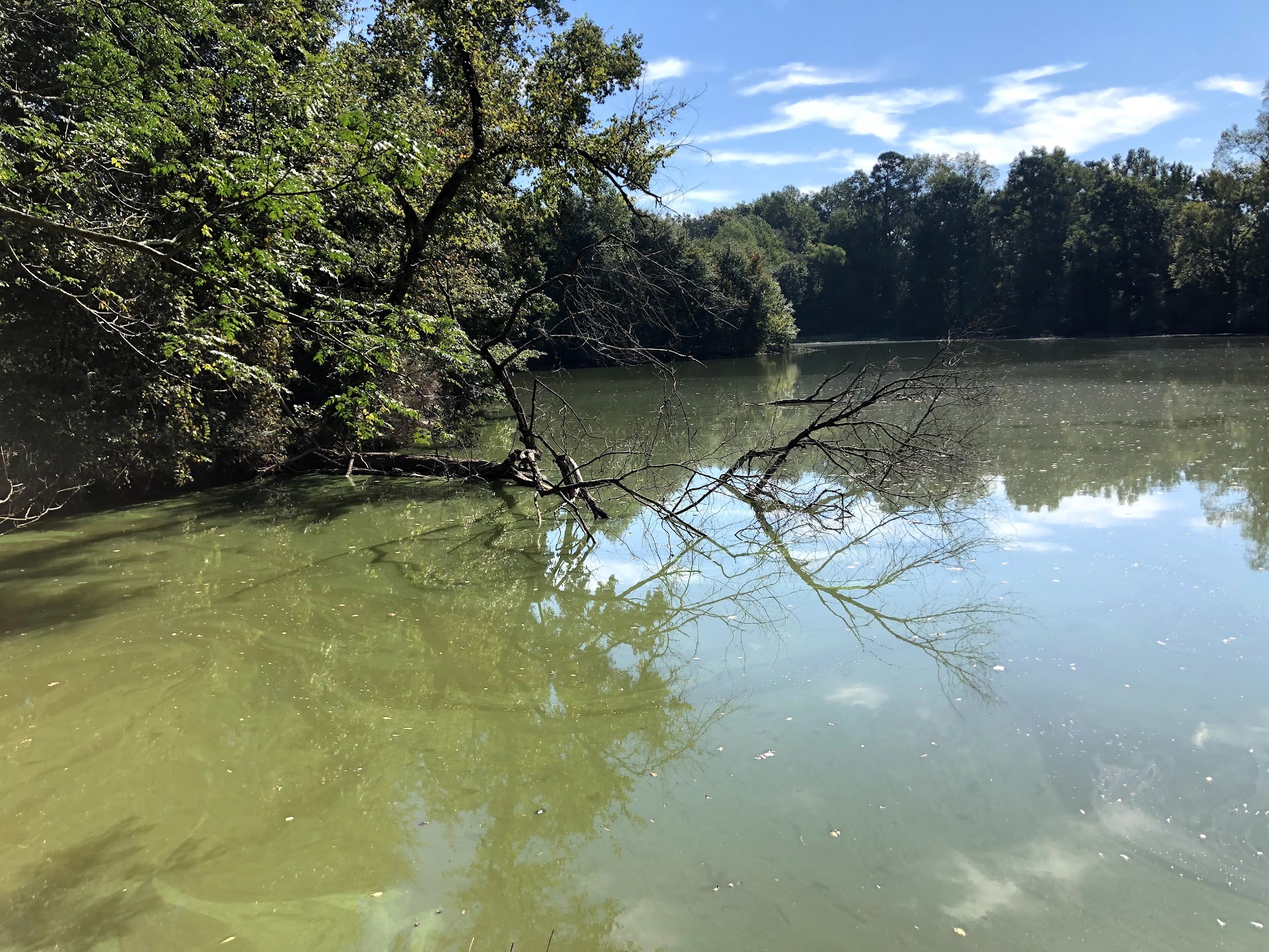 RBC affiliates team up to explore federal freshwater policy - The River ...